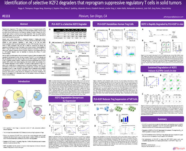 Identification of Selective IKZF2 Degraders That Reprogram Suppressive ...
